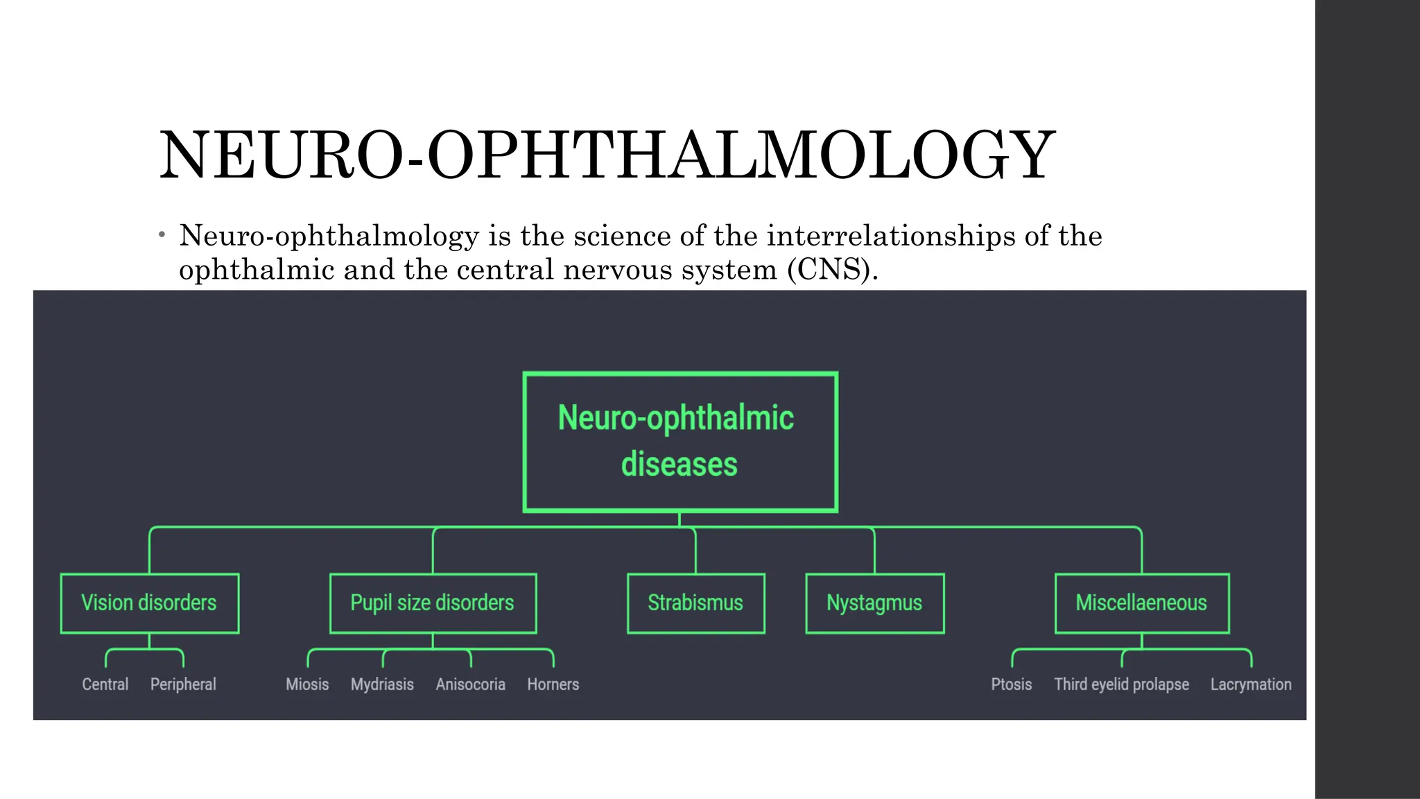Neuro Ophthalmic diseases and their lesions | PPTX
