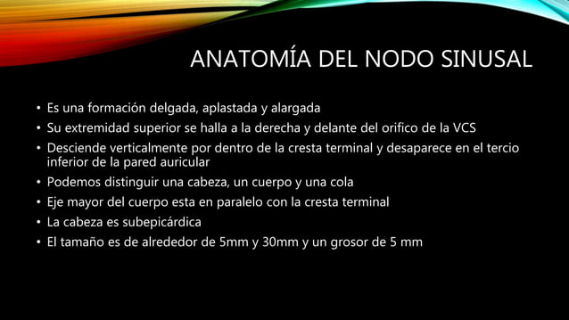 Nodo sinusal(keith y flack) como | PPTX