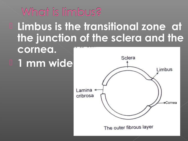 Nodule at the limbus | PPT | Eye and Vision Conditions | Diseases and ...