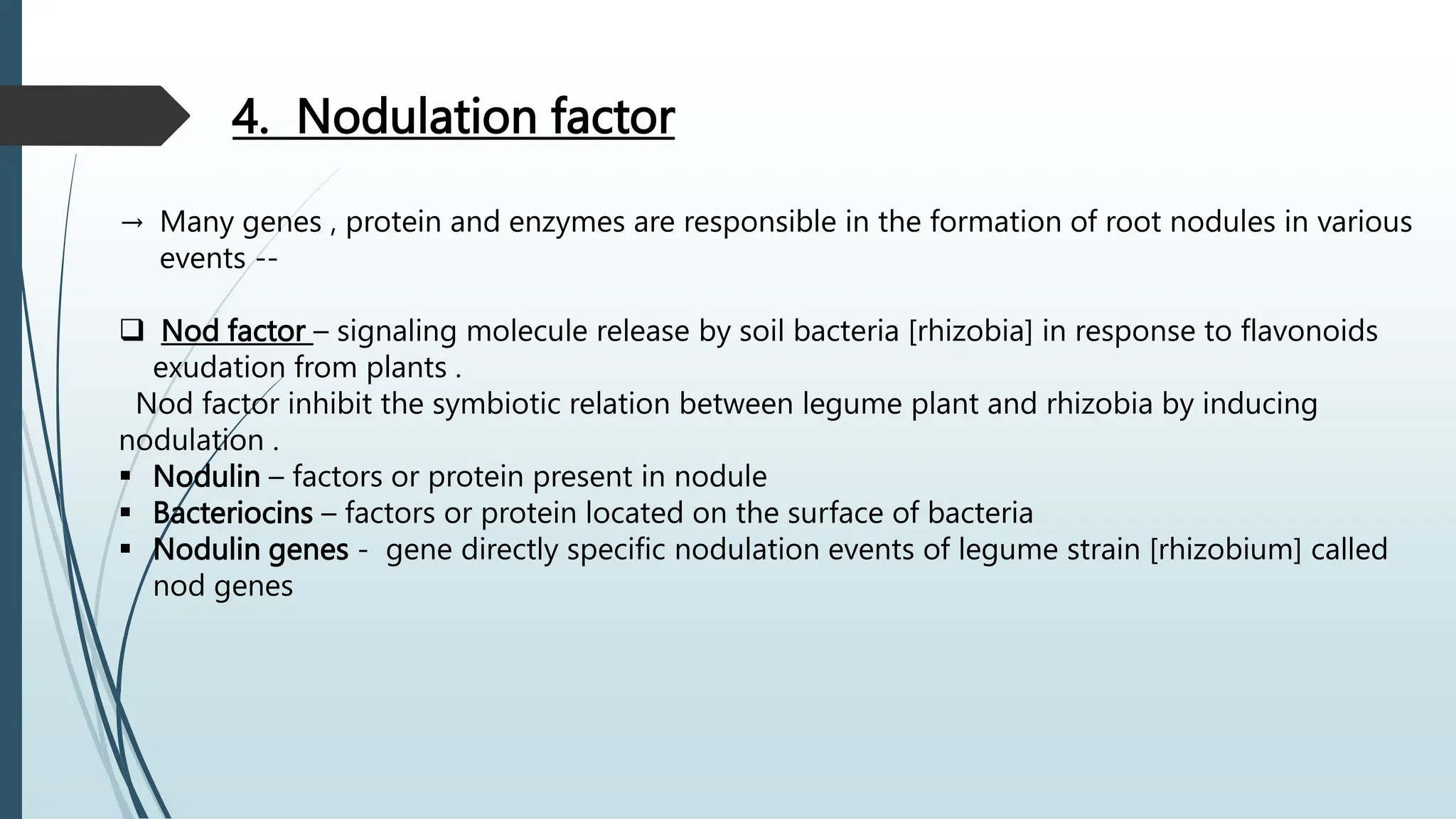 nodule formation by alisha dewangan.pptx