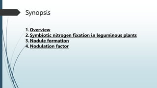 nodule formation by alisha dewangan.pptx