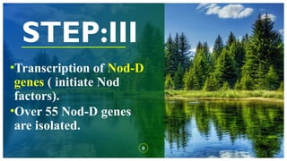 STEPS OF effective NODULE FORMATION.pptx
