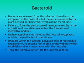 Nodule formation and nod factors | PDF