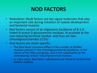 Nodule formation and nod factors | PDF