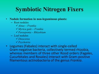 Nodule formation and nod factors | PDF