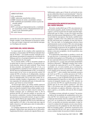Nódulo Sinusal | PDF