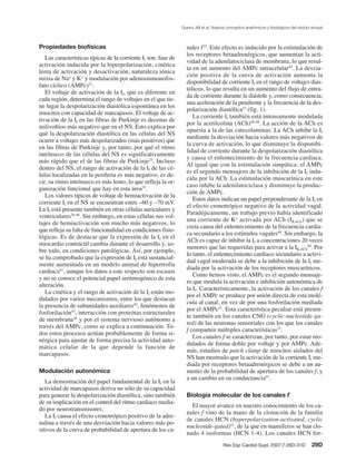 Nódulo Sinusal | PDF