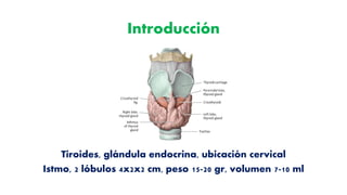 Nodulo tiroideo | PPTX