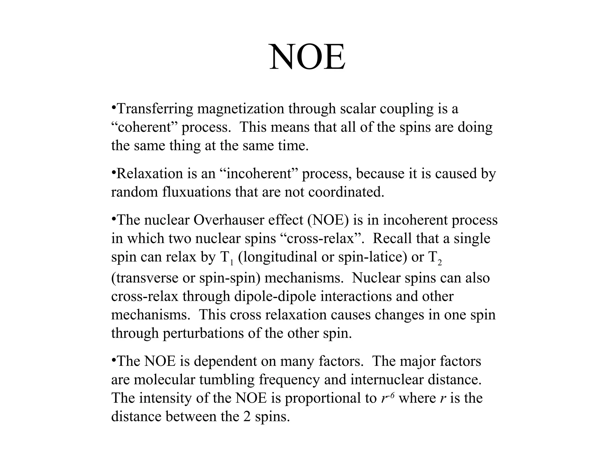 Noe | PPT