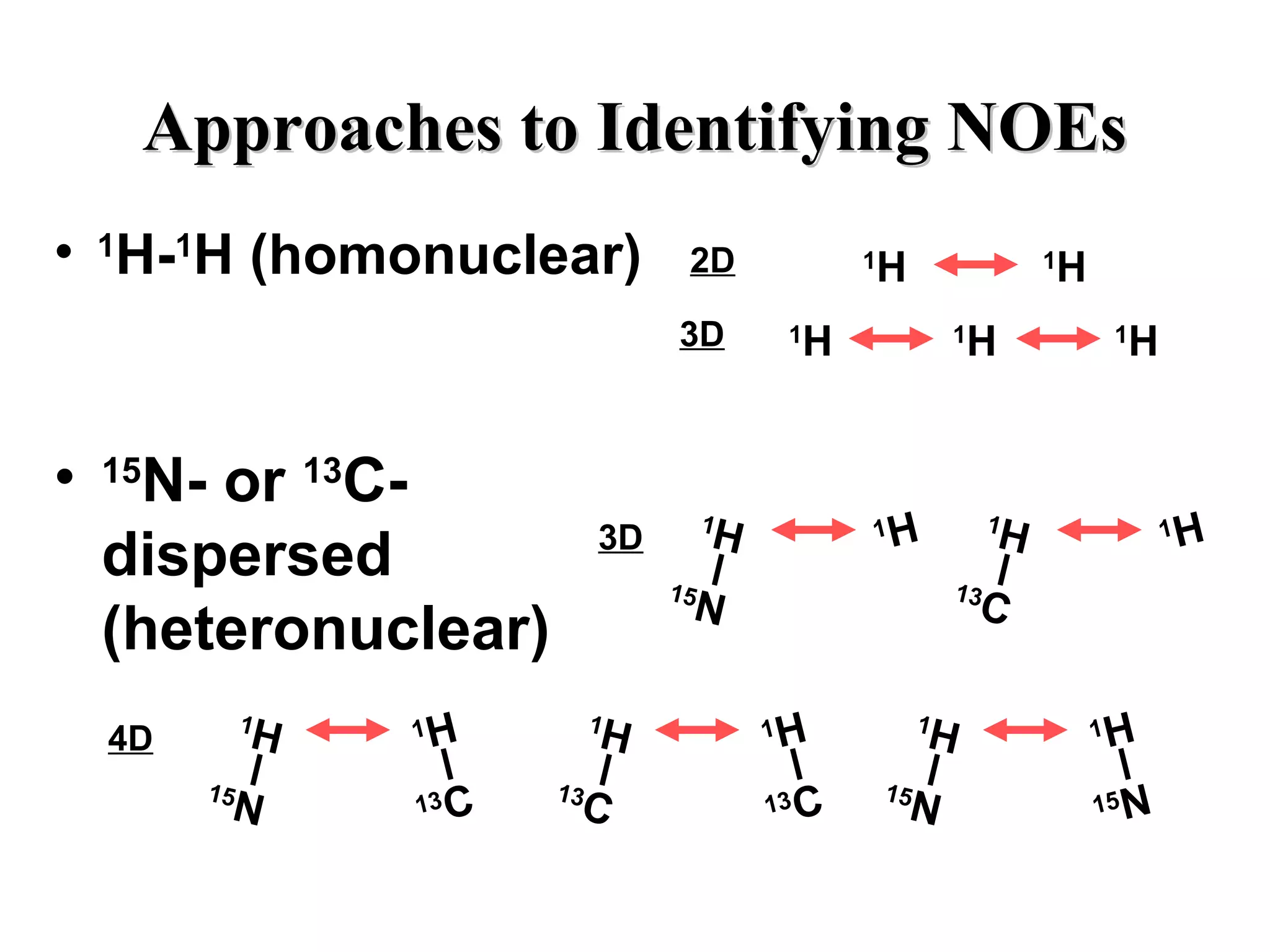 Noe | PPT