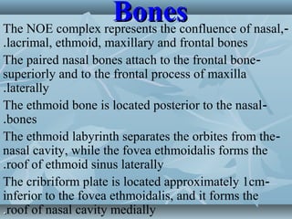 Naso-Orbital-Ethmoidal Fractures | PPT