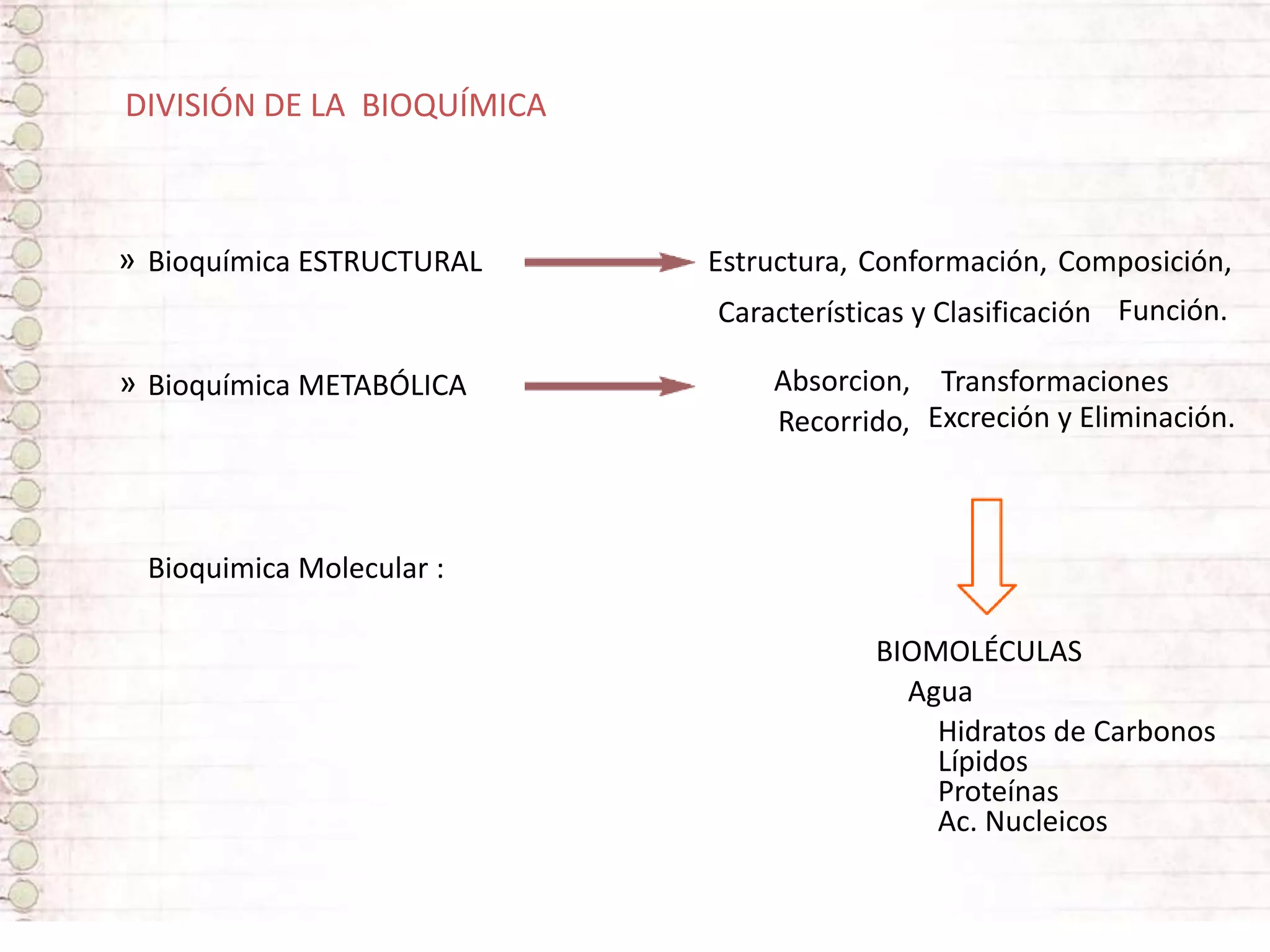 Bioquimica.ppt