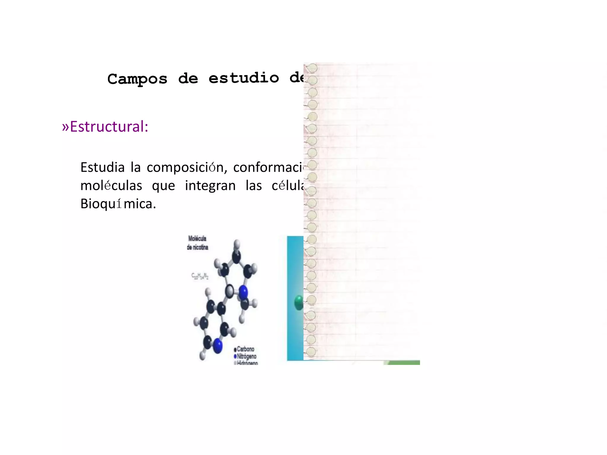 Bioquimica.ppt