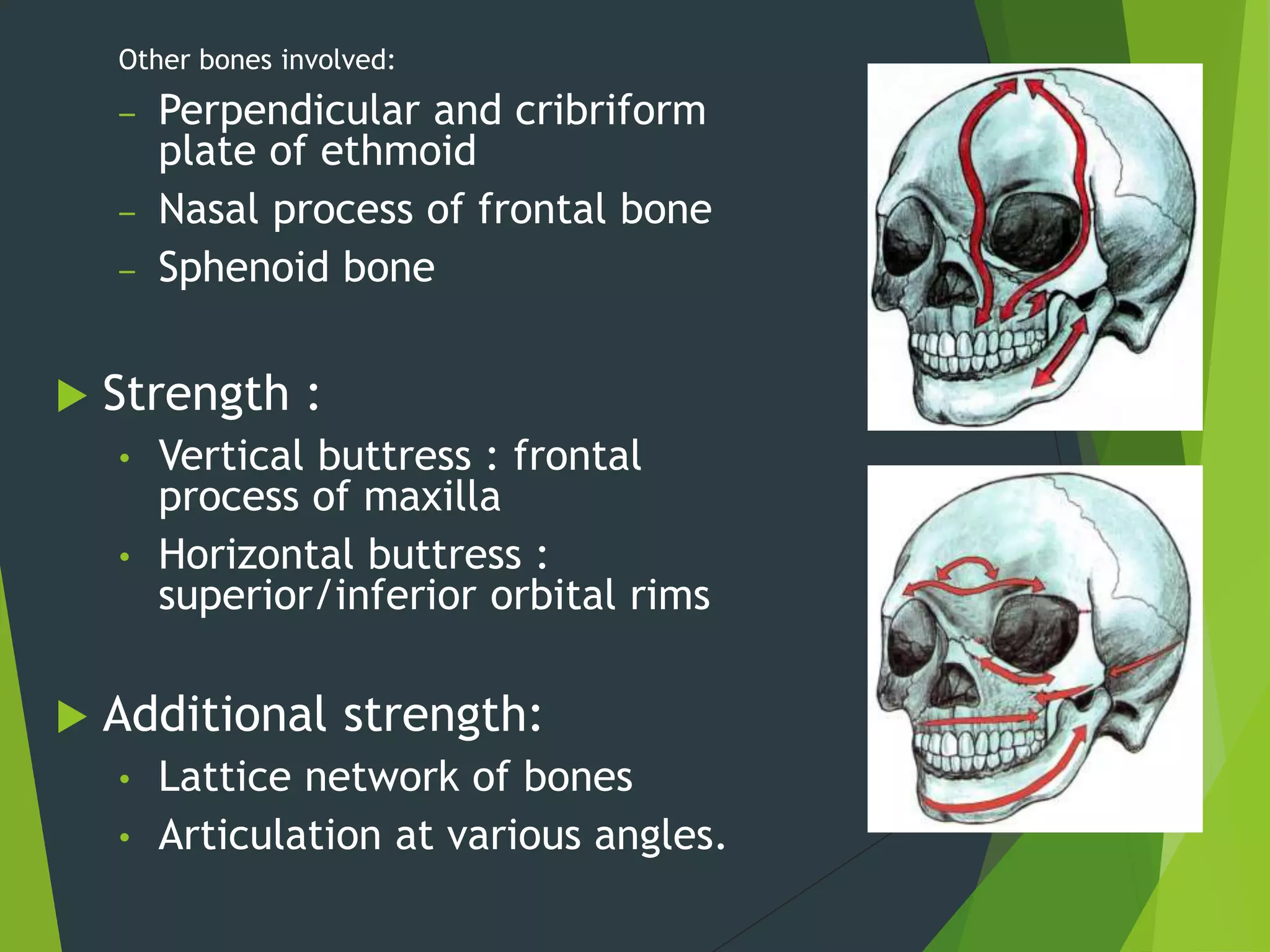 Naso-orbito-ethmoidal fracture | PPTX