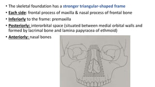 NOE fracture.pptx