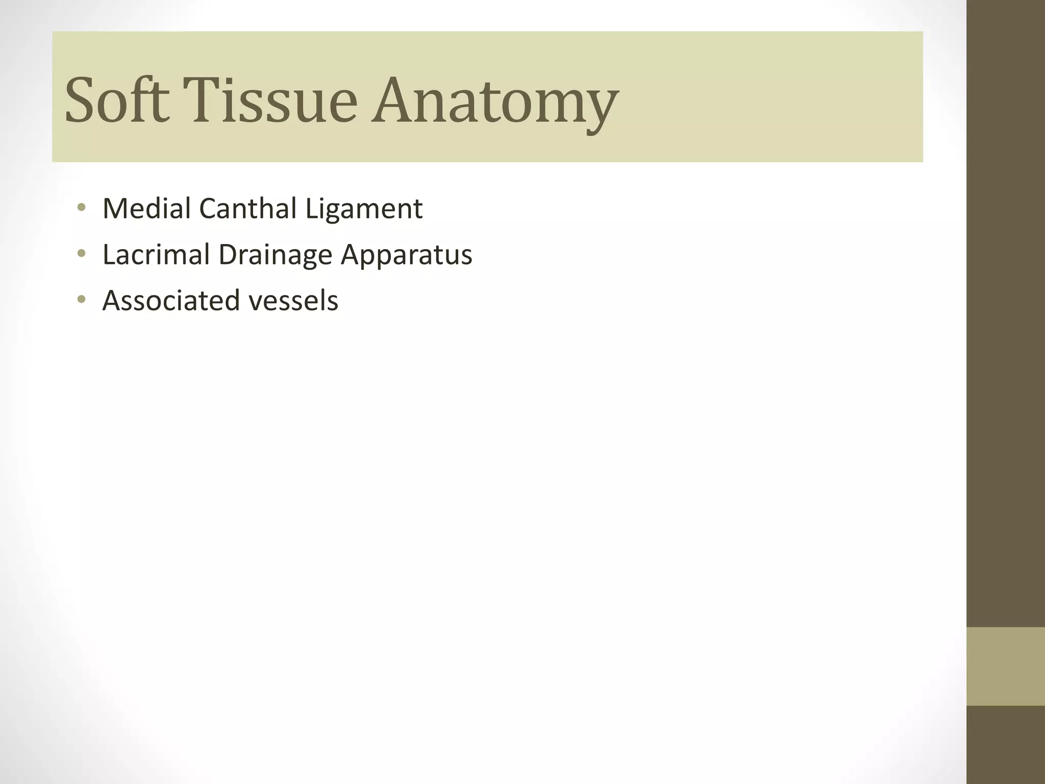 NOE fractures | PPTX