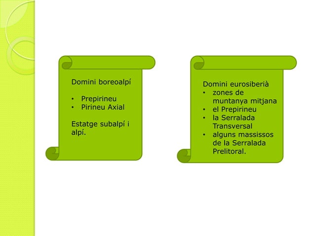 LA VEGETACIÓ by Noelia quevedo i elisabeth pérez | PPT