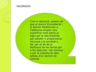 LA VEGETACIÓ by Noelia quevedo i elisabeth pérez | PPTX