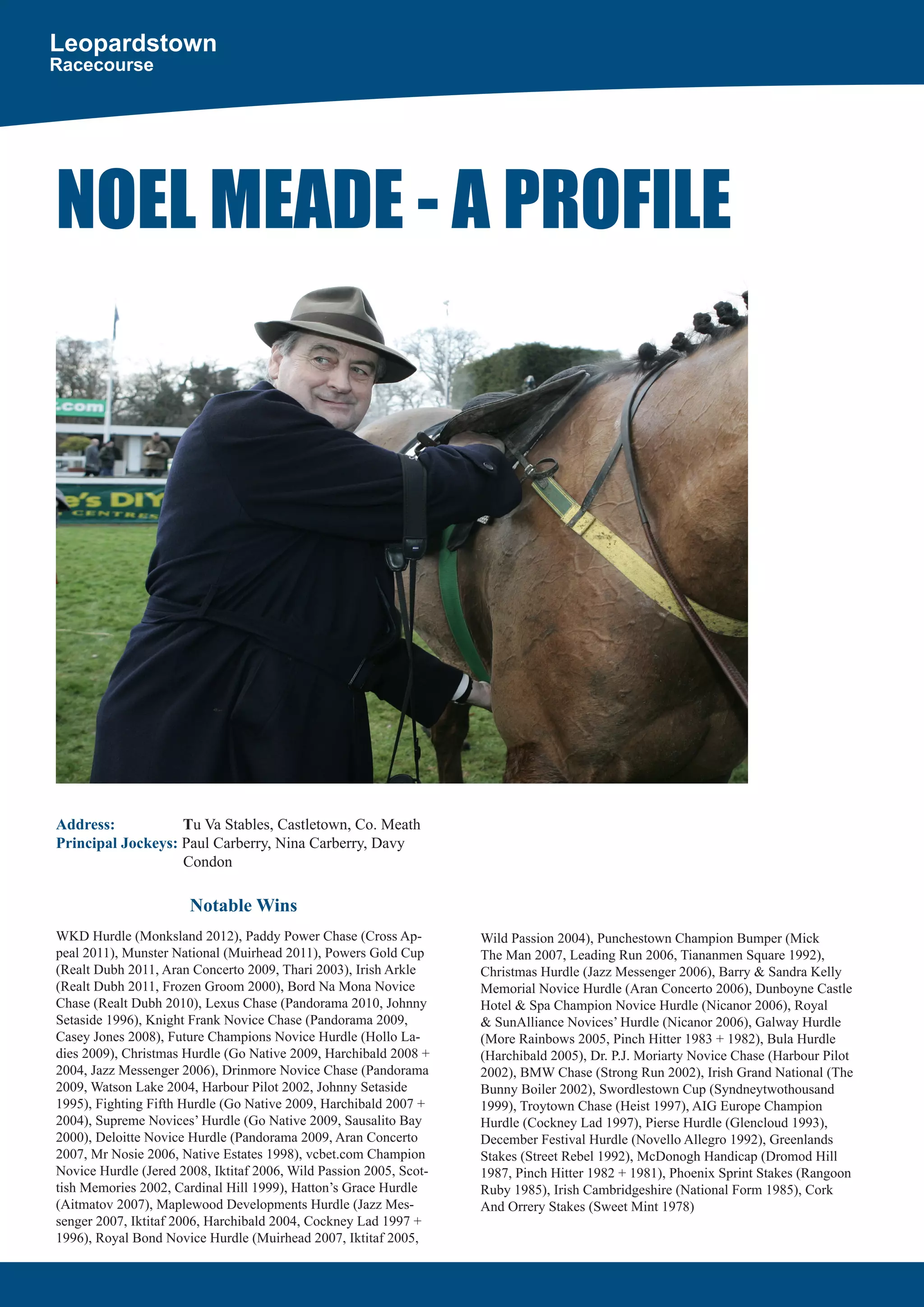 Noel Meade Profile | PDF