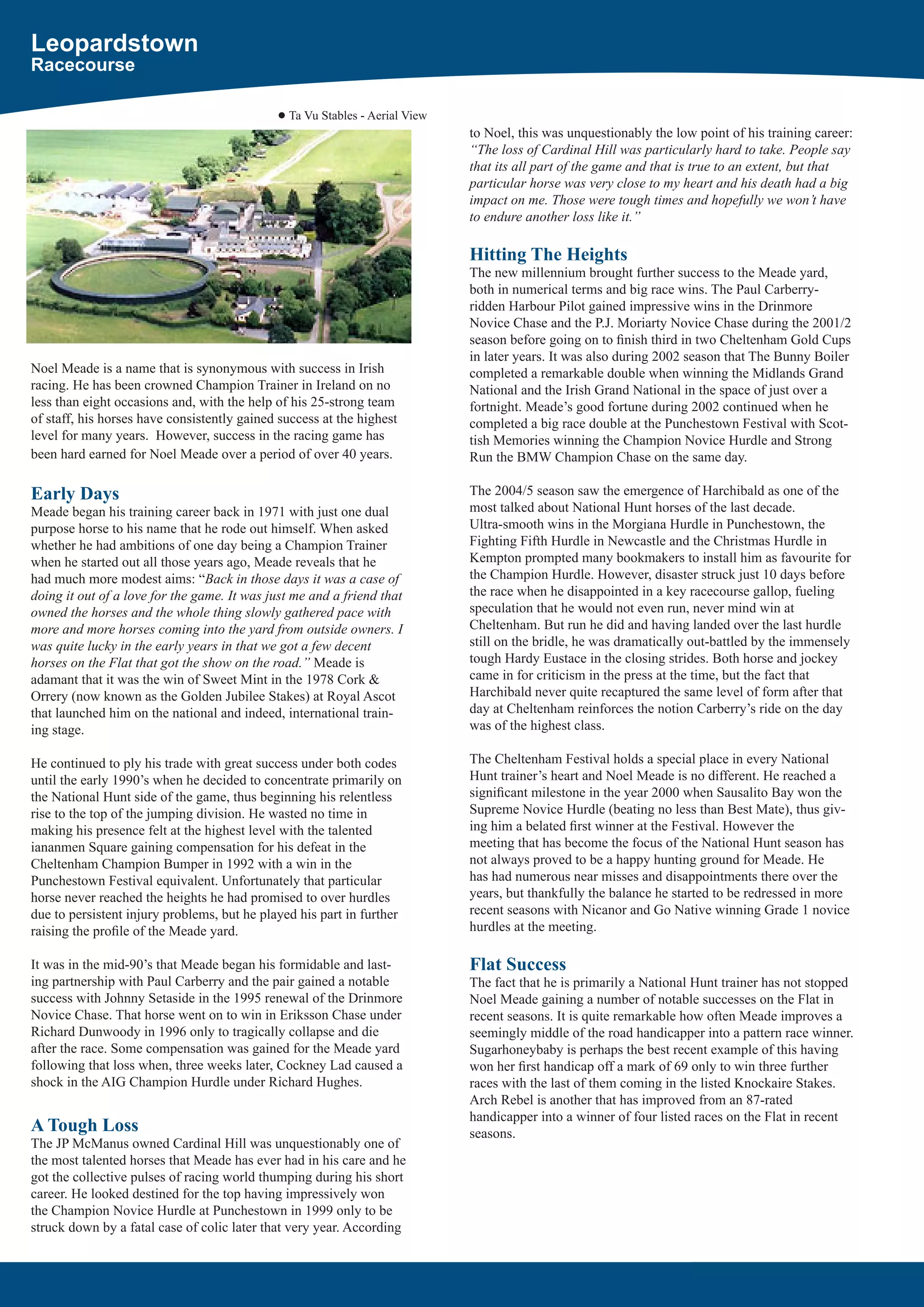 Noel Meade Profile | PDF