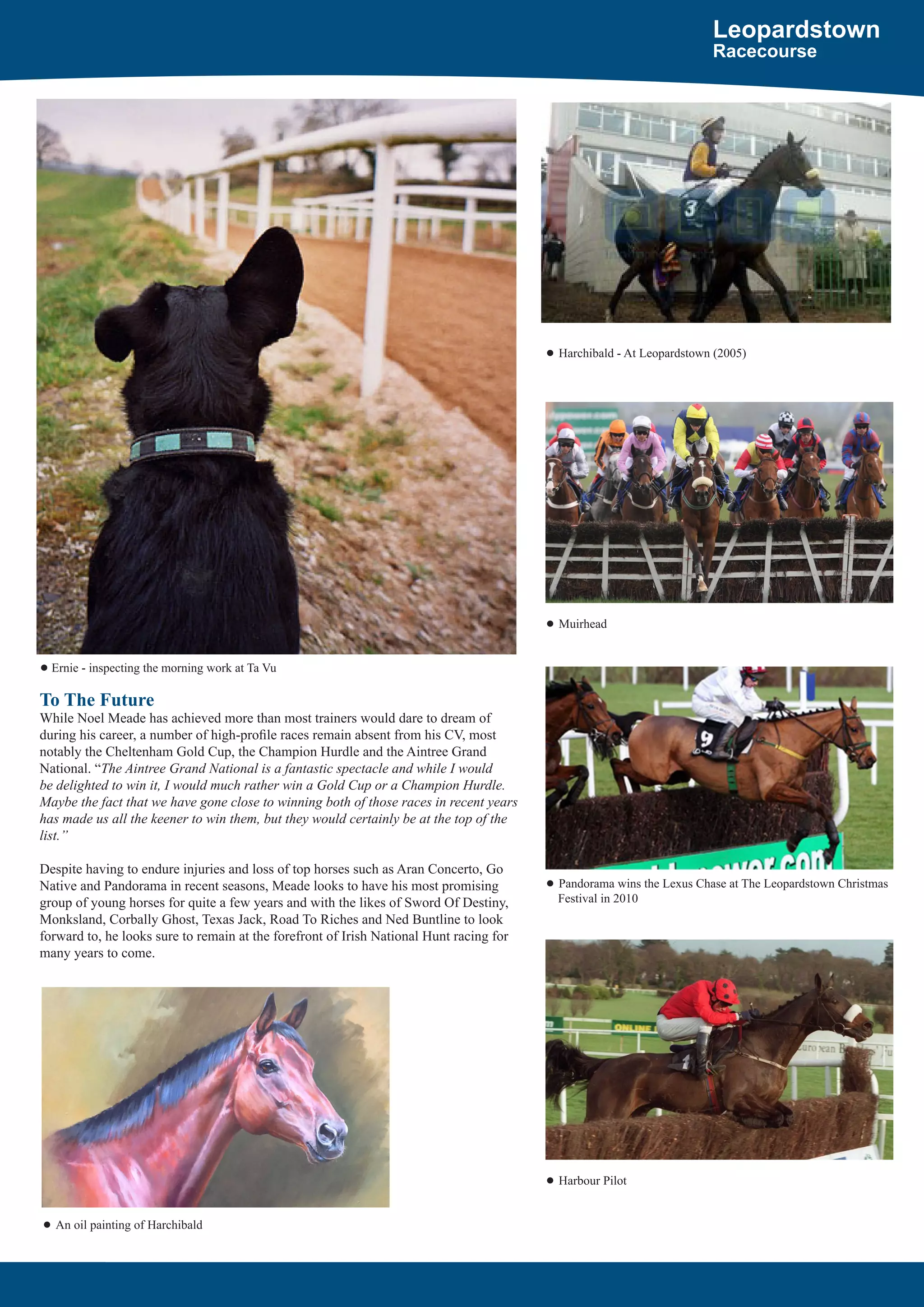 Noel Meade Profile | PDF