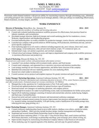 Noel m marketing professional 10801 | DOC