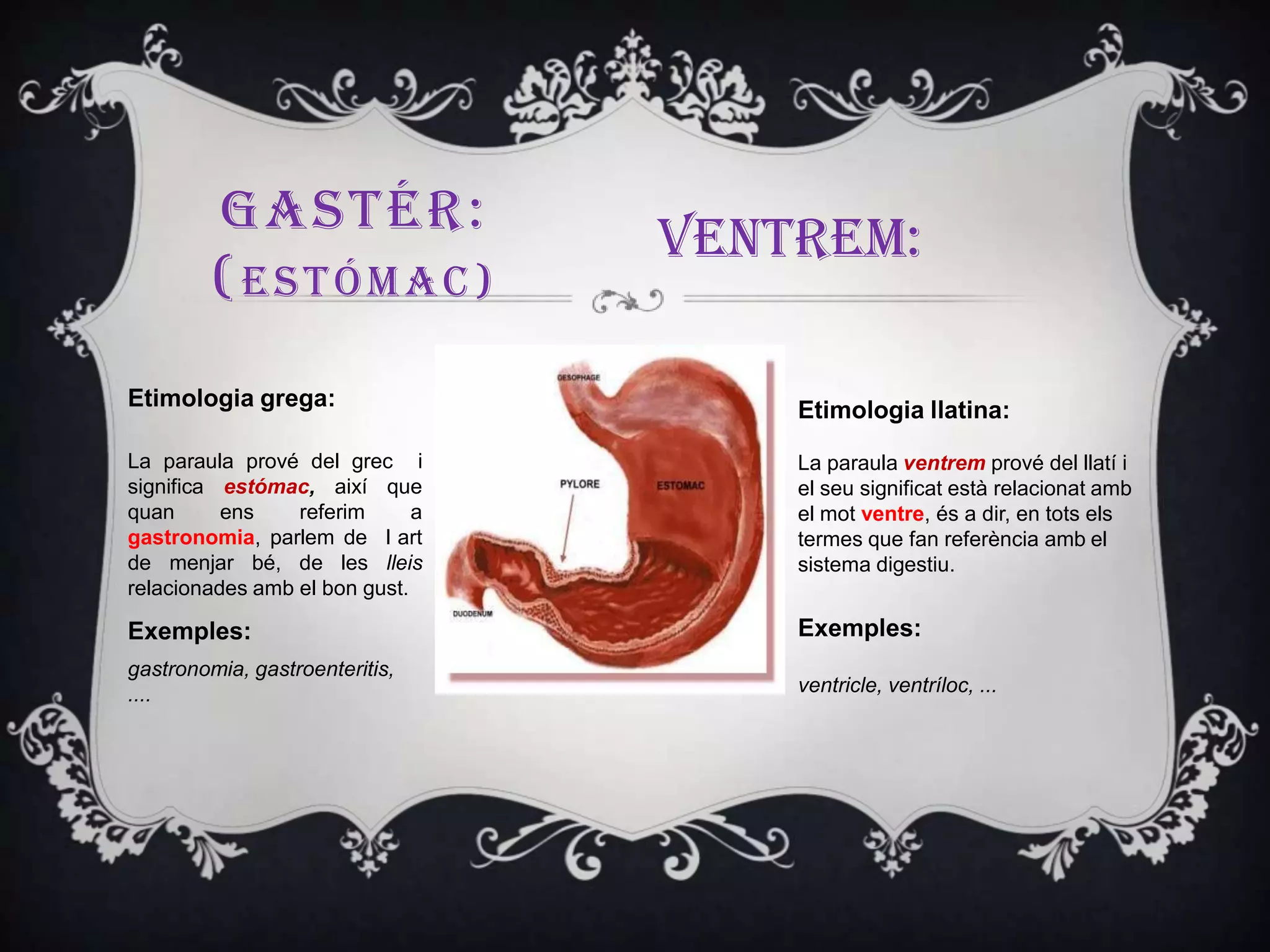Noemí Vergés, Laura Miguel , Marina Bahi | PPTX