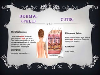 Noemí Vergés, Laura Miguel , Marina Bahi | PPT