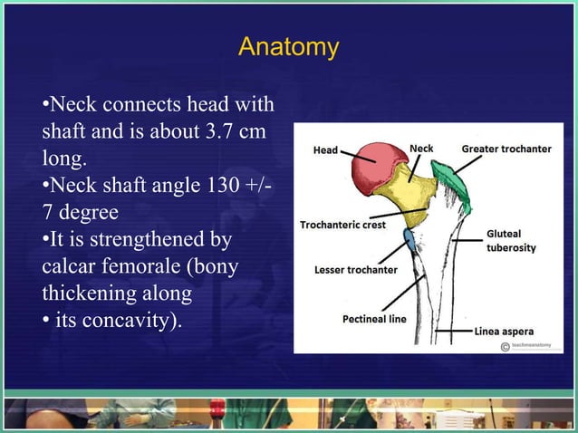 Femoral neck fractures | PPTX