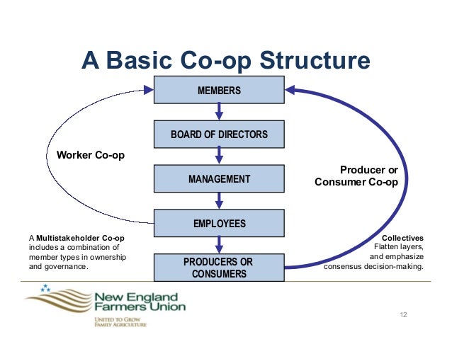 Farmer Co-ops For Efficient Production & Marketing