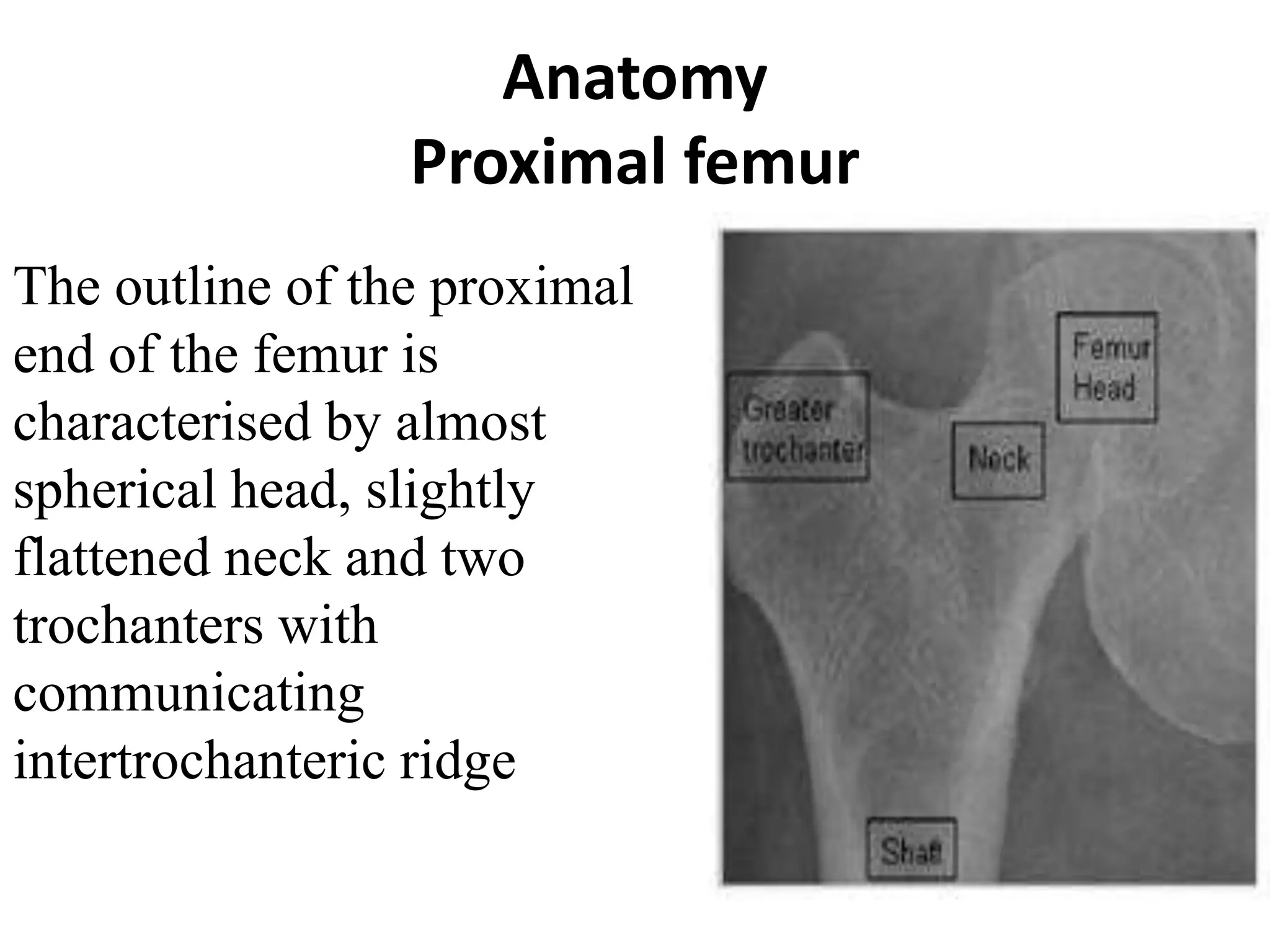 Nof anatomy | PPTX