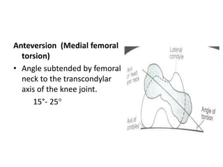 Nof anatomy | PPTX