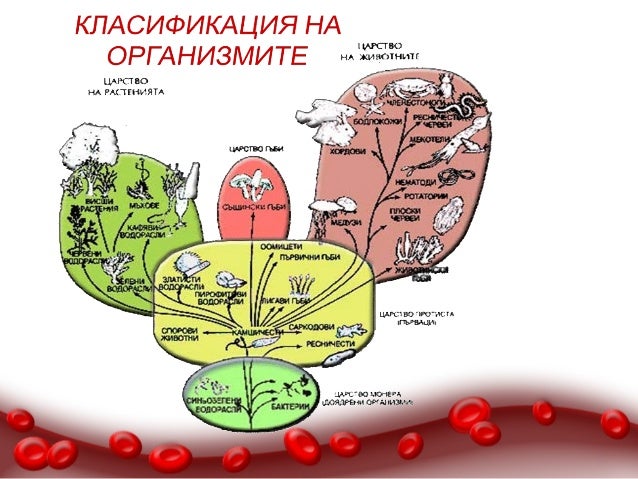 Многоклетъчни организми