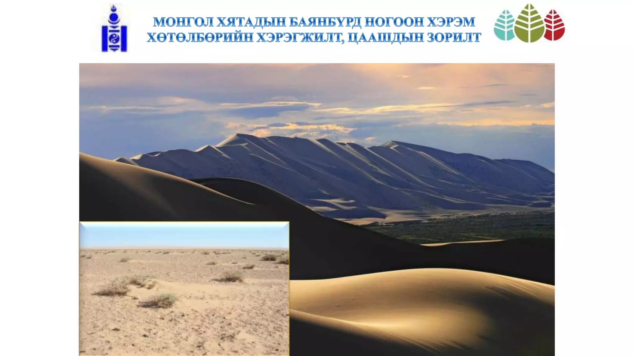 Nogoon herem tusul taniltsuulga mongol | PPTX