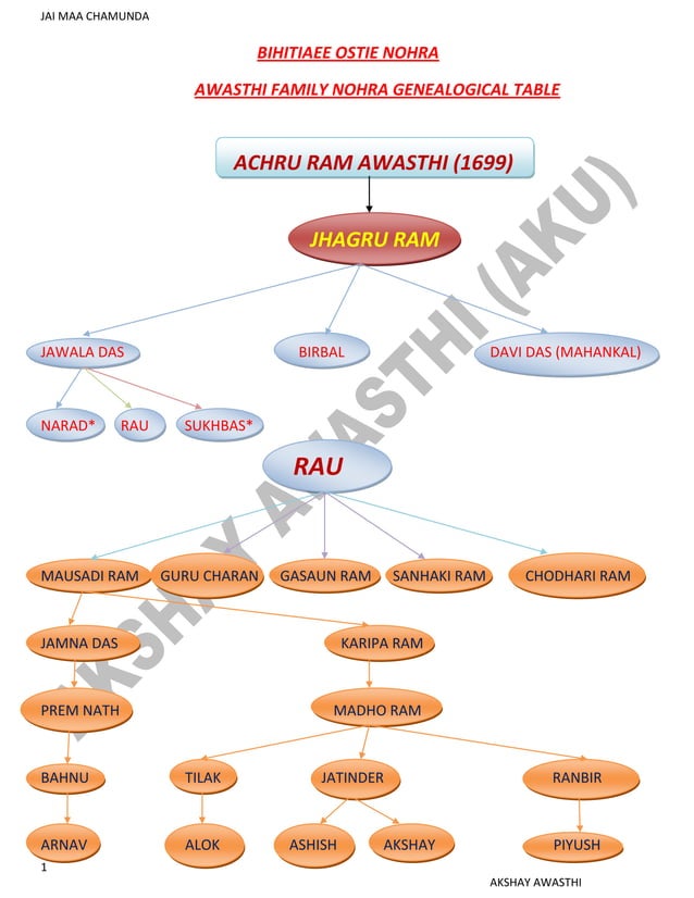 Nohra awasthi family baijnath himachal pradesh | PDF