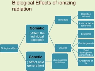 Noise & Radiation - health Effect | PPTX