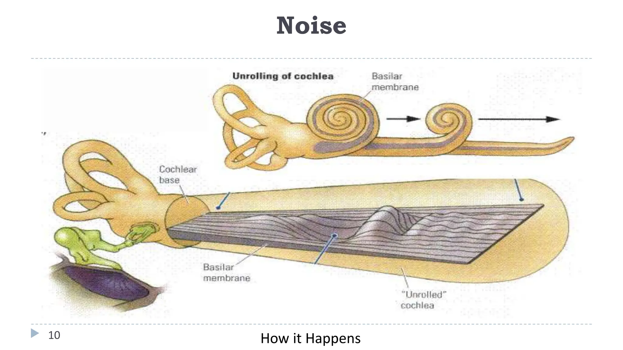 Noise Awareness Training Programme 2013.ppt