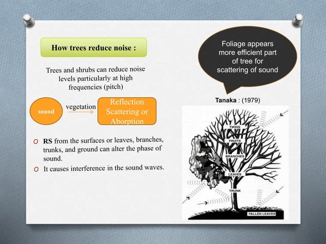 trees acts as noise barrier | PPTX | Landscaping | Home & Garden