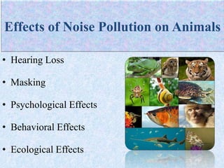 Noise Pollution presentation | PPTX