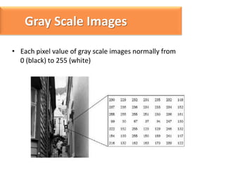 Noise filtering | PPT