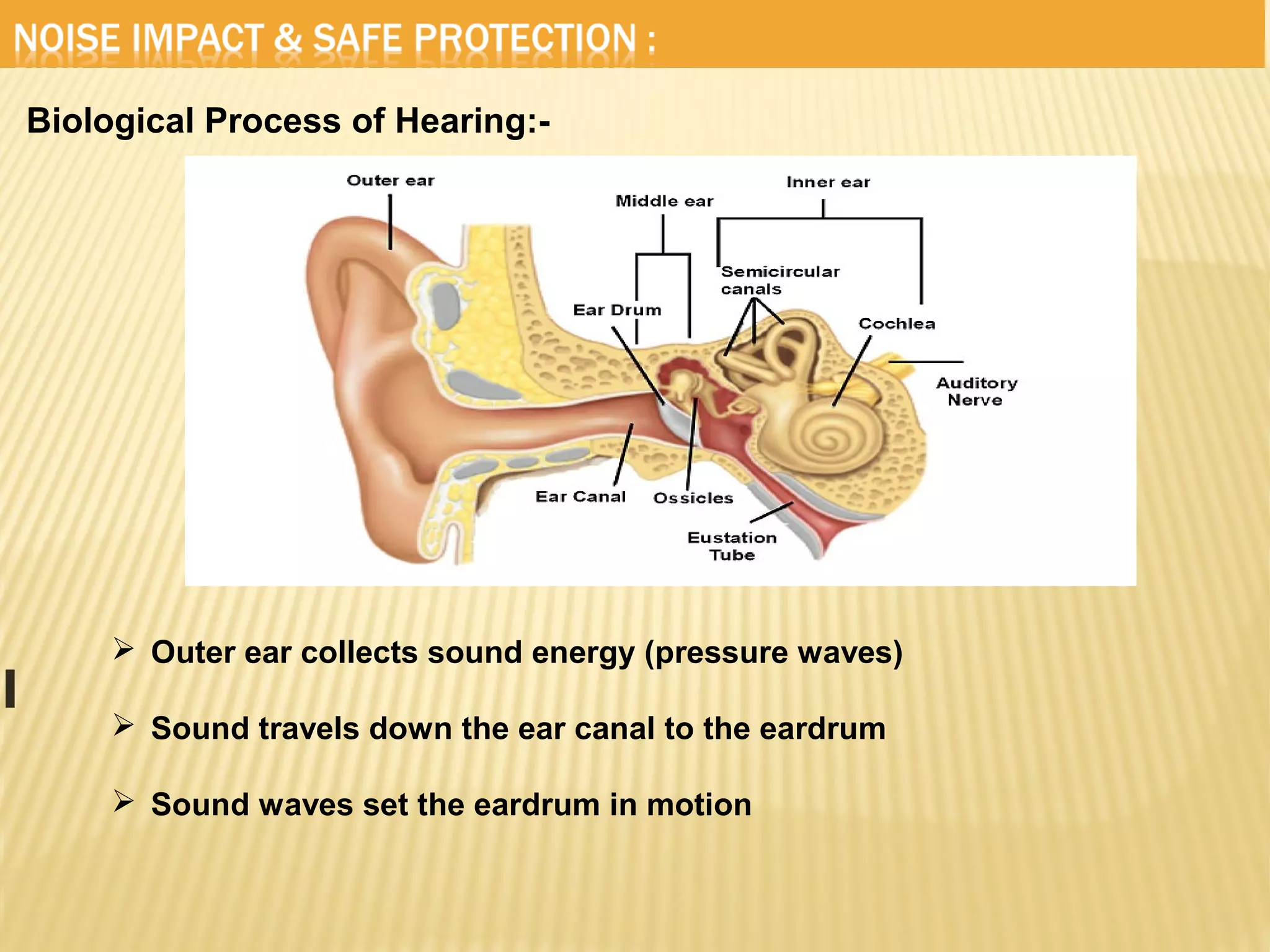 Noise impact and.safe protection | PPT