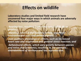 Noise Pollution | PPTX