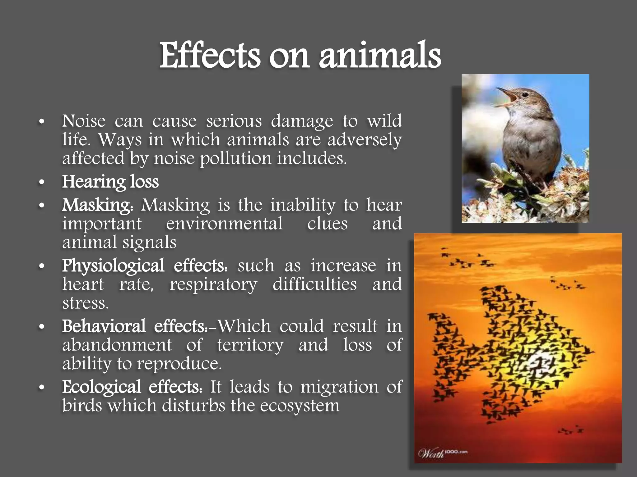Noise Pollution | PPTX
