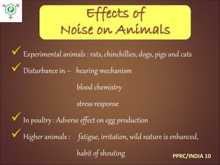 Noise pollution | PPT
