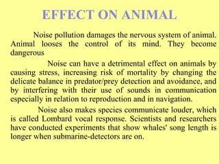 Noise pollution | PPT