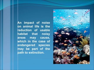 Noise pollution | PPTX | Indoor Environmental Quality | Home & Garden