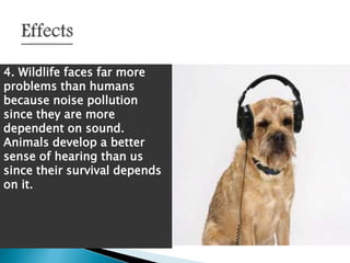 A discussion on Noise pollution. | PPTX