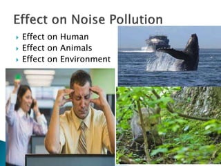 Noise pollution | PPT