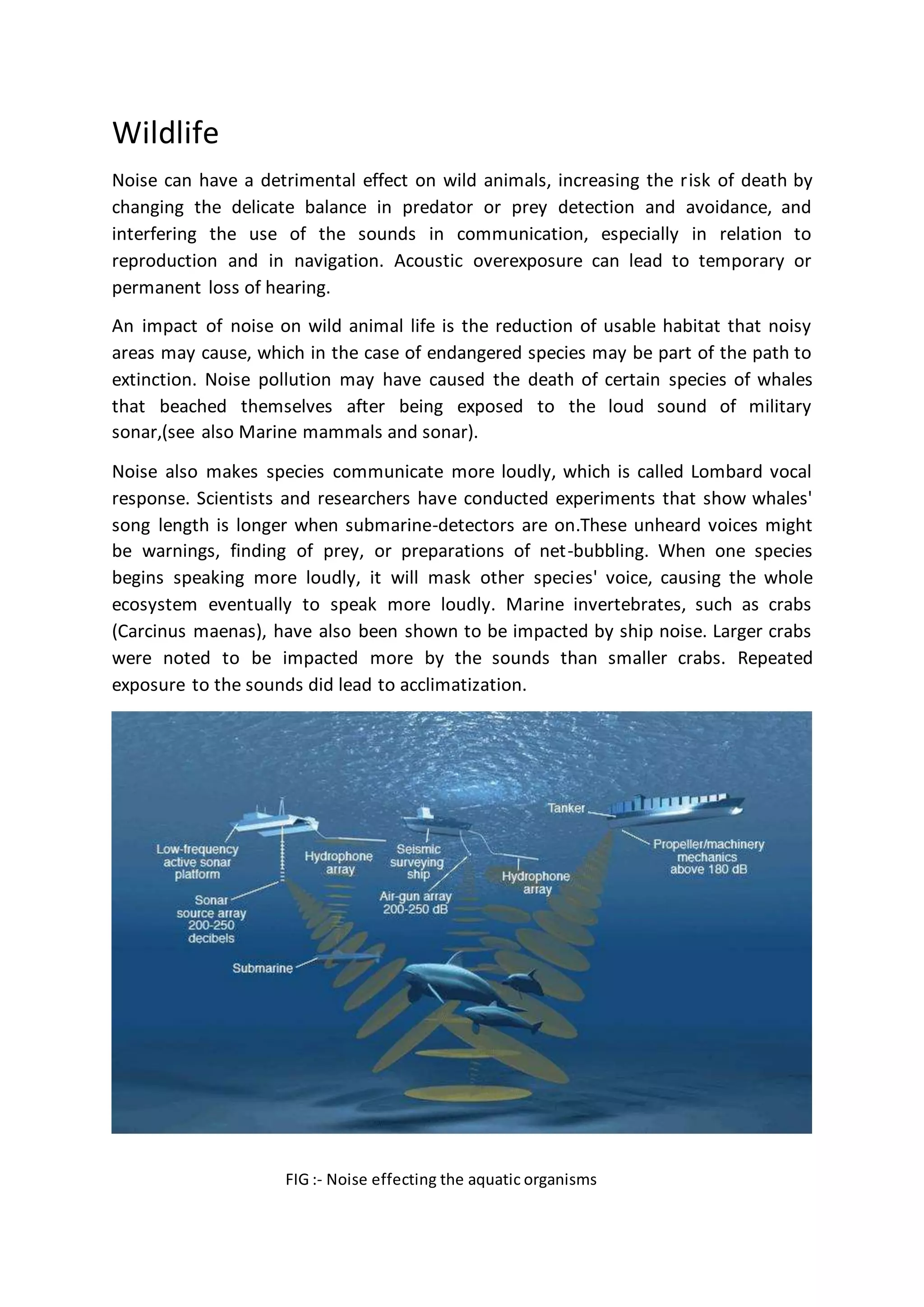 Noise pollution | DOCX