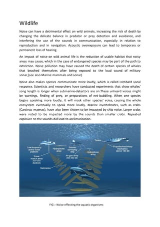 Noise pollution | DOCX